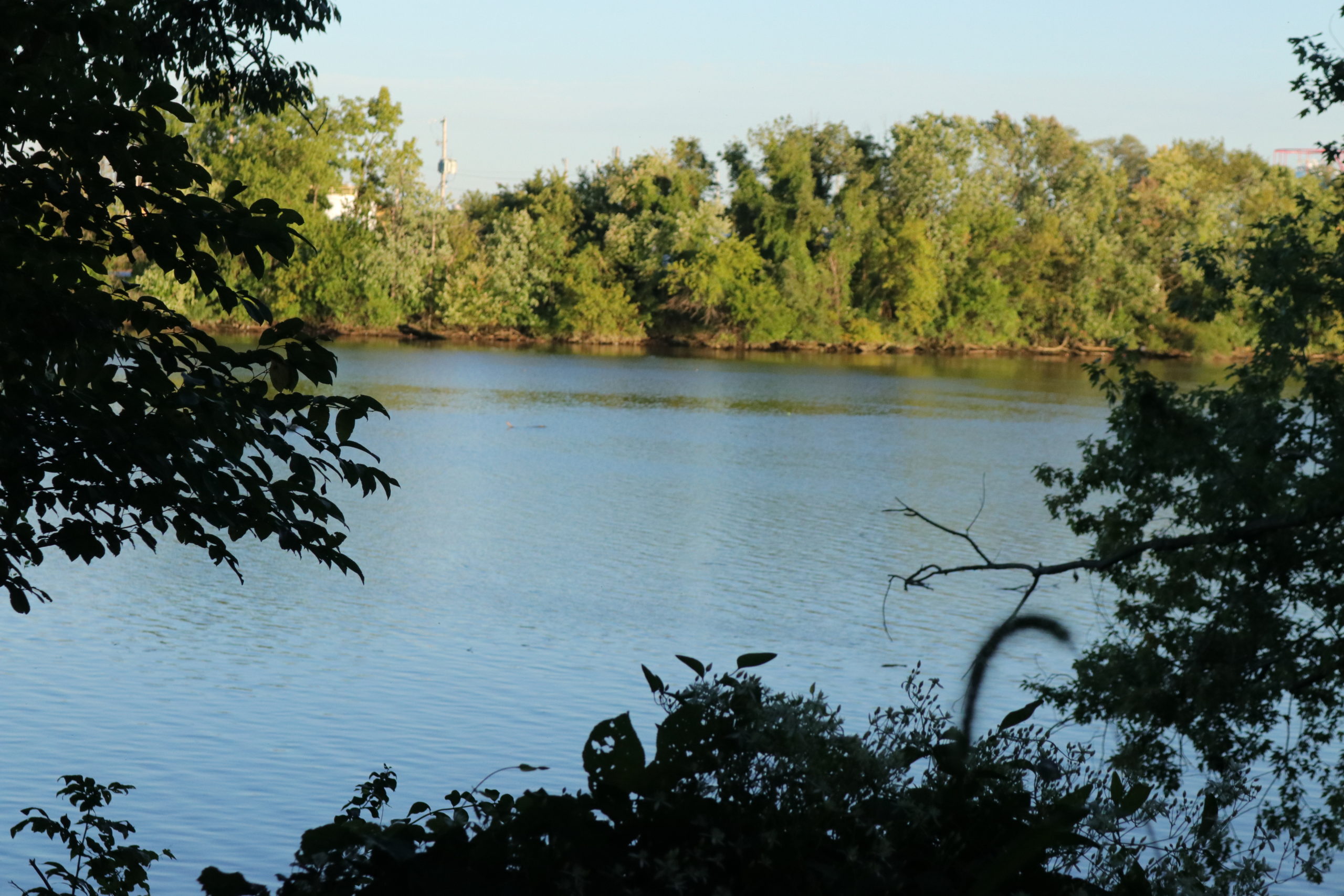 Gallery – Tesfa-House Psychotherapy & Consulting LLC