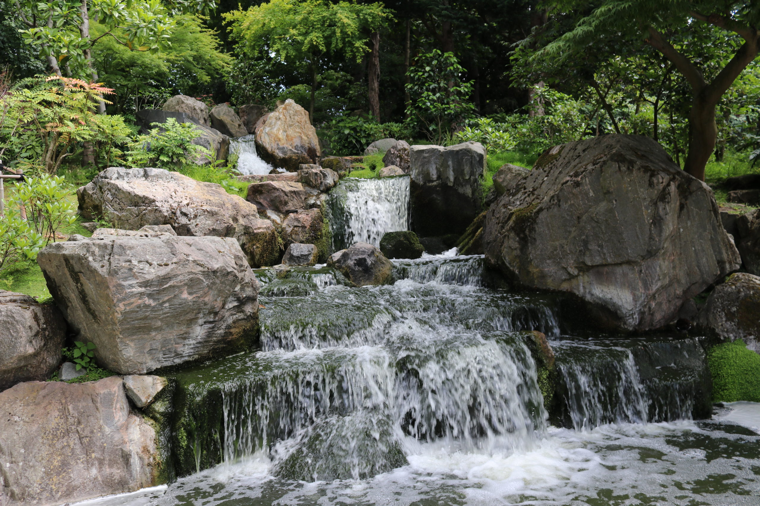 Gallery – Tesfa-House Psychotherapy & Consulting LLC